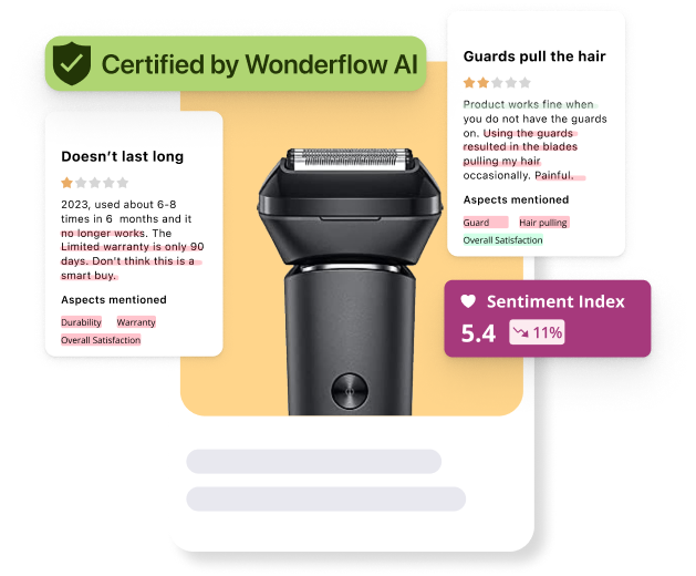 Voice of Customer Platform, AI VoC Tools | Wonderflow
